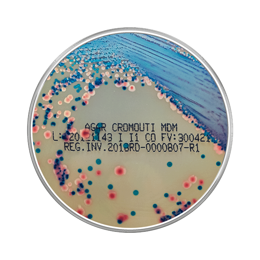 SOLUCIONES – Dynamics Innovation SAS